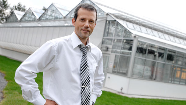 Produire plus avec moins d’eau : le défi des producteurs de fraises du ...