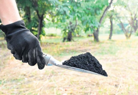 Le biocharbon fait une percée au Québec - La Terre de chez nous