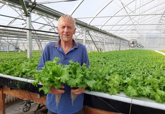 Un tarif à 5,59 ¢/kWh pour tous les producteurs en serre - La Terre de ...