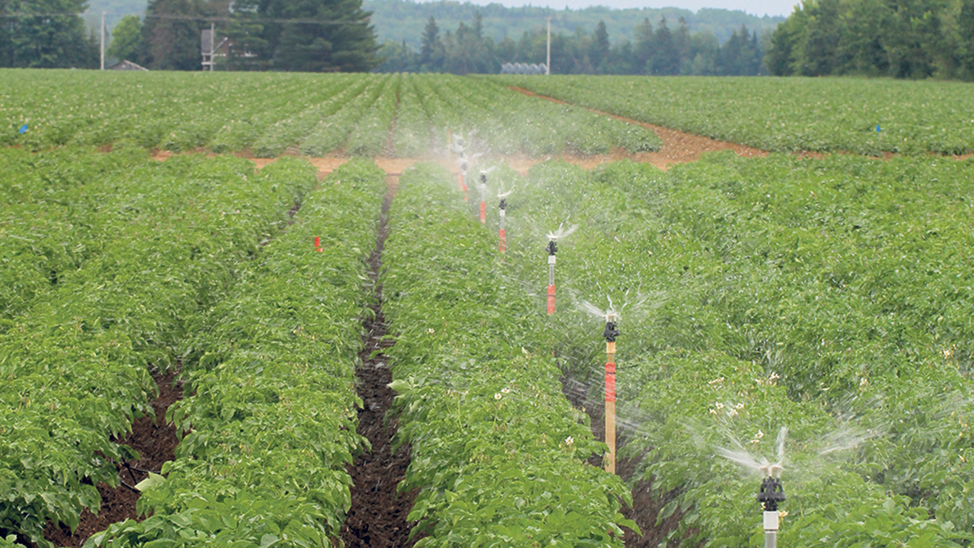 L'optimisation de la gestion de l’eau pour une agriculture plus durable ...