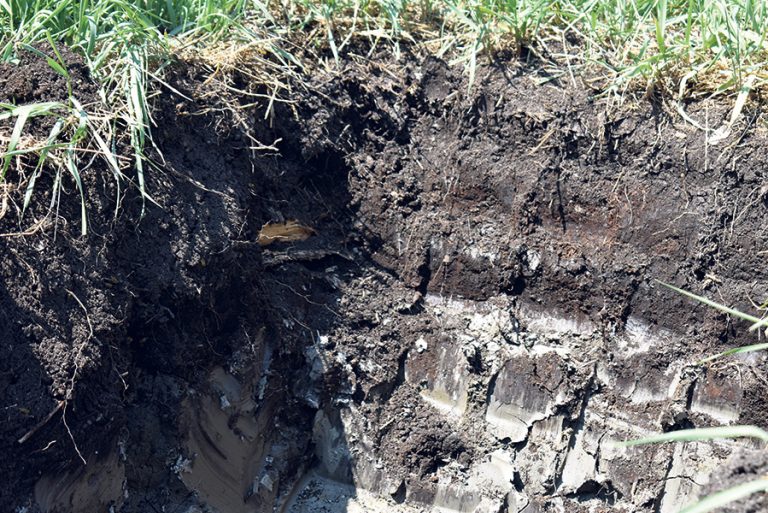 Plans d’action pour les sols - La Terre de chez nous