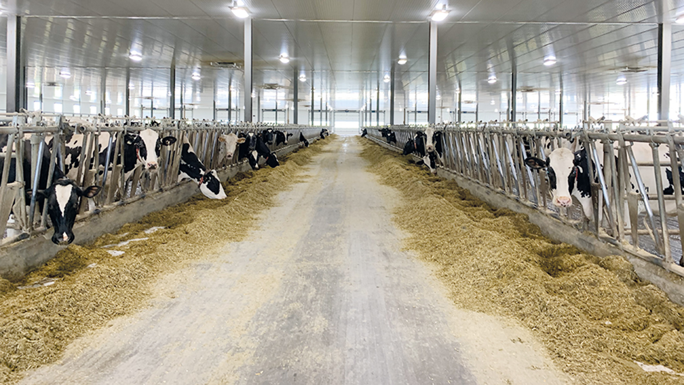 Une majorité de grandes fermes laitières ont été rentables en 2022 - La ...