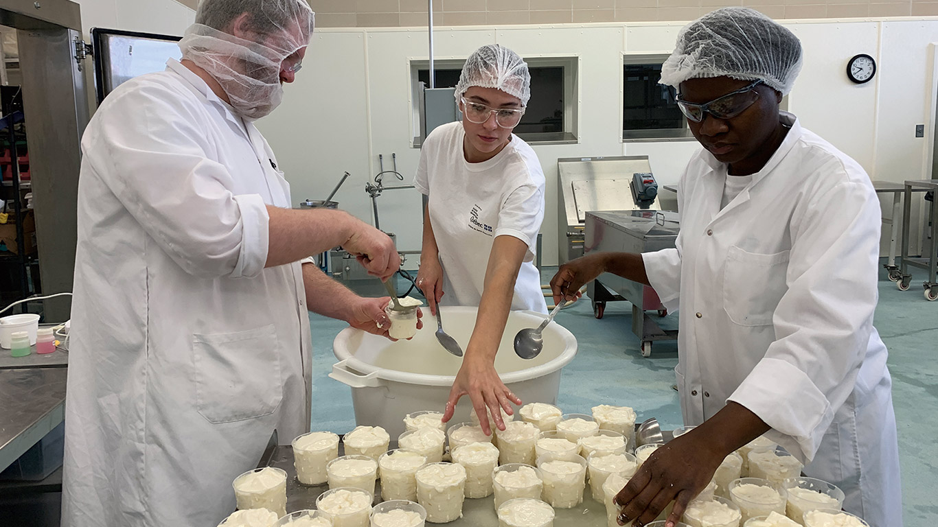 Les fromages au lait cru au Québec - La Terre de chez nous