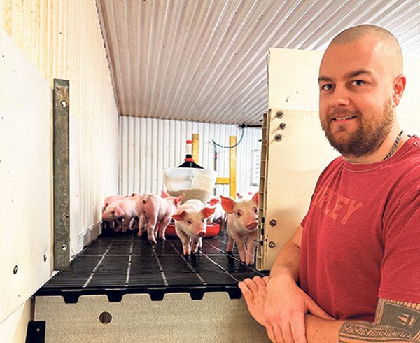 Un lien établi entre bien-être animal et stress des éleveurs de porcs ...