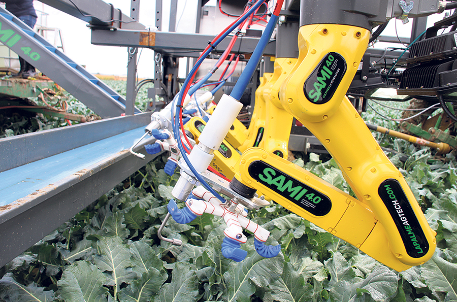 Bientôt une version commercialisable du robot récolteur SAMI - La Terre ...