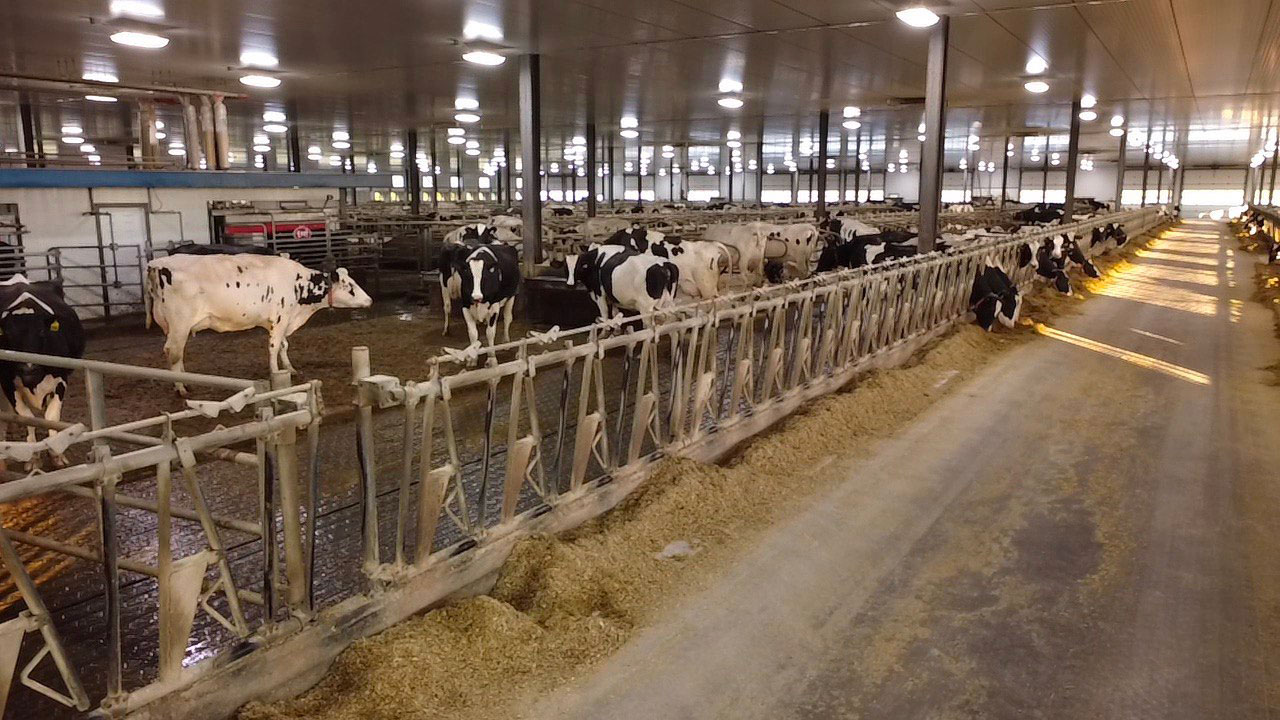 Dix fermes du Québec parmi les mieux gérées au pays - La Terre de chez nous