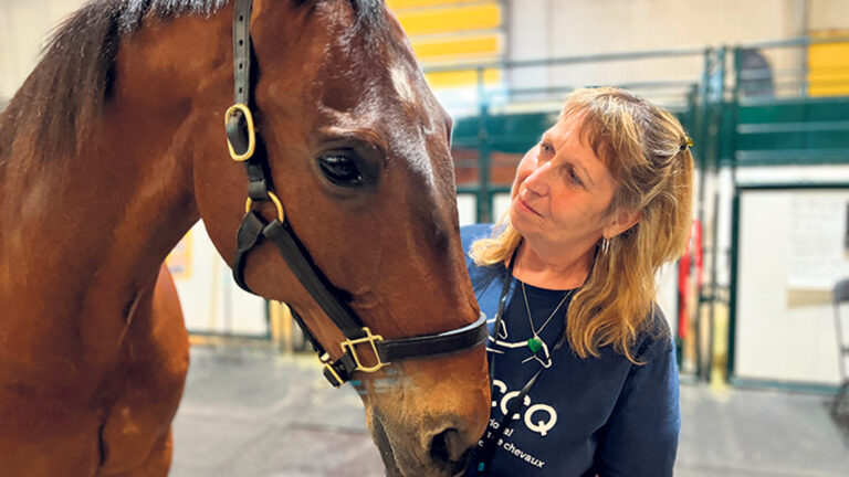 Un cheval québécois remporte plus de 1,7 M$ en bourses - La Terre de ...