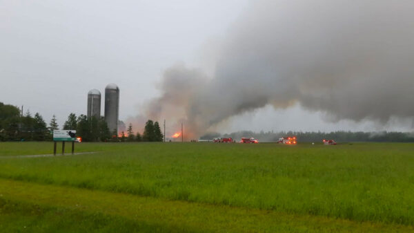Un brasier anéantit une ferme bovine du Bas-Saint-Laurent - La Terre de ...